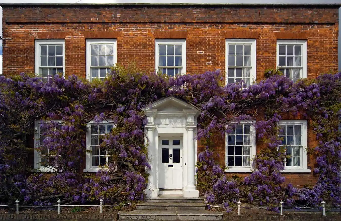 What are the best windows for a period property? | Genesis Collection